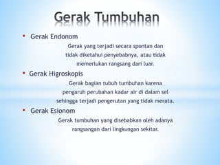 Presentation gerak tumbuhan dan hewan | PPTX