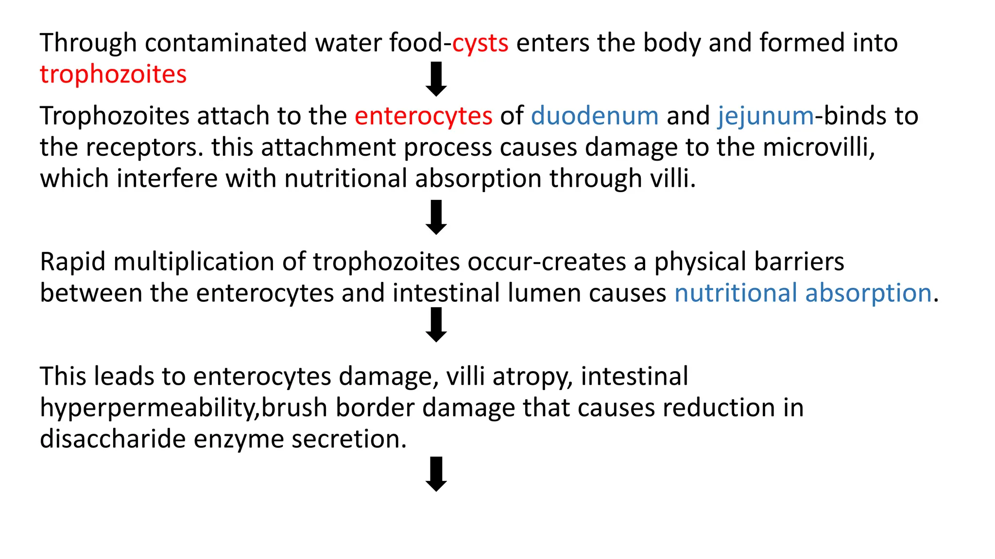 GIARDIASIS -INTRODUCTION,ETIOLOGY, PATHOPHYSIOLOGY, TREATMENT ...