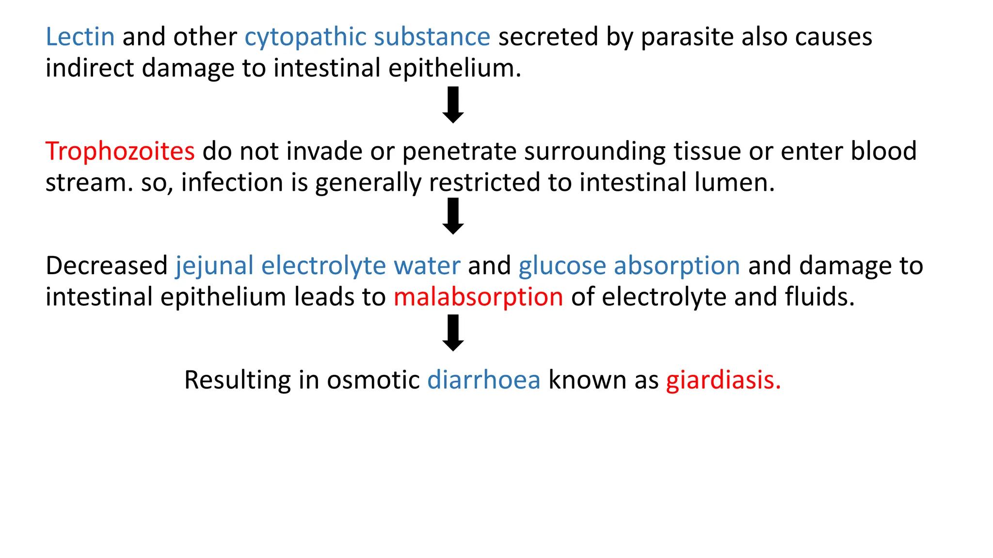 GIARDIASIS -INTRODUCTION,ETIOLOGY, PATHOPHYSIOLOGY, TREATMENT ...