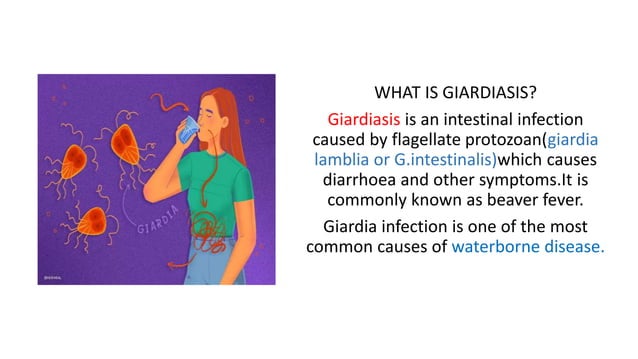 GIARDIASIS -INTRODUCTION,ETIOLOGY, PATHOPHYSIOLOGY, TREATMENT ...