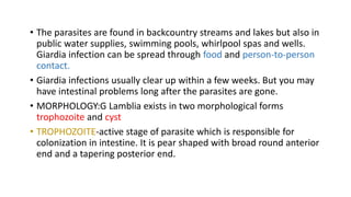 GIARDIASIS -INTRODUCTION,ETIOLOGY, PATHOPHYSIOLOGY, TREATMENT ...