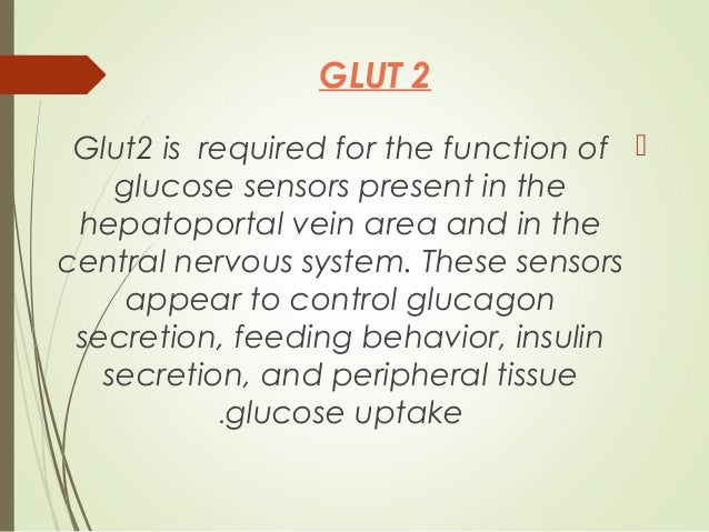 Glut