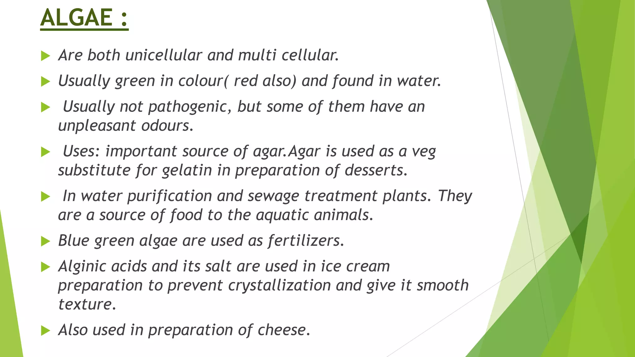 MICROORGANISMS IN FOOD | PPTX