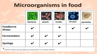 MICROORGANISMS IN FOOD | PPTX