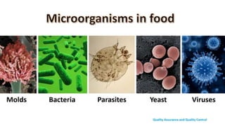 Microorganisms Images