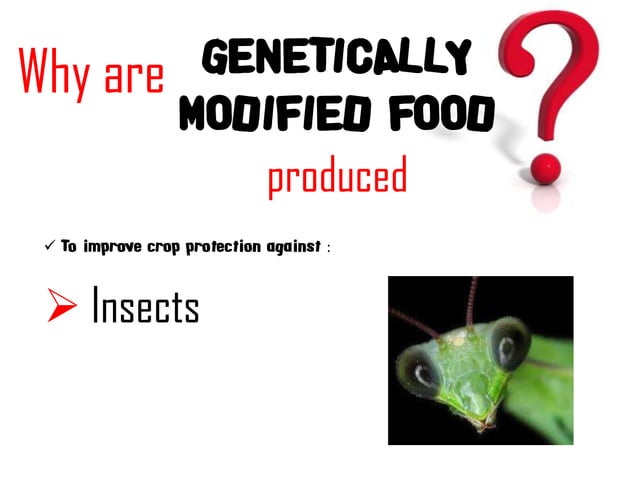Genetically Modified Food | PPTX