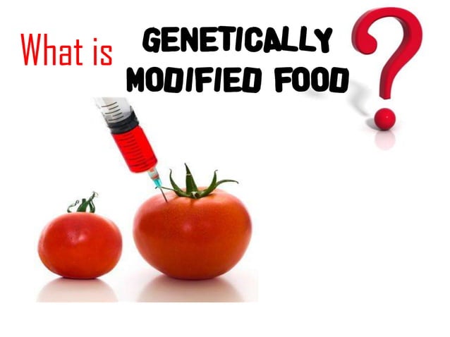 Genetically Modified Food | PPTX