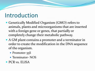 Presentation gmo (2) | PPT