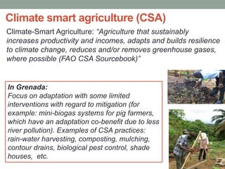Prioritizing adaptation options in agriculture: The experience of Grenada | PPT