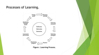 Presentation (Group 2) .pptx