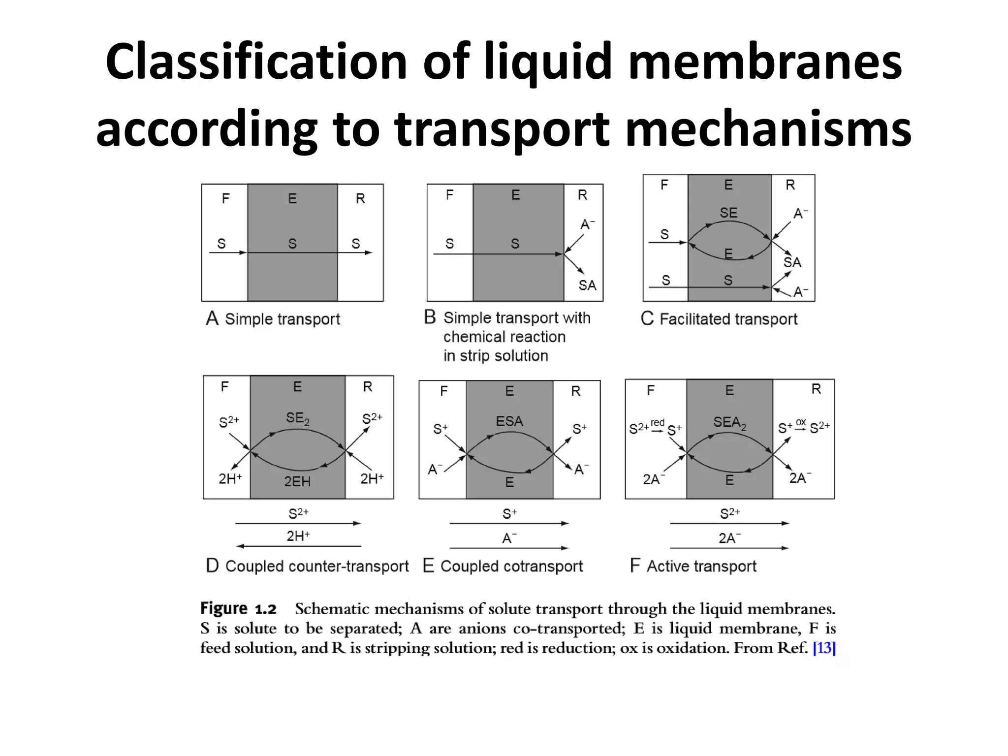 Liquid menbranes | PPTX