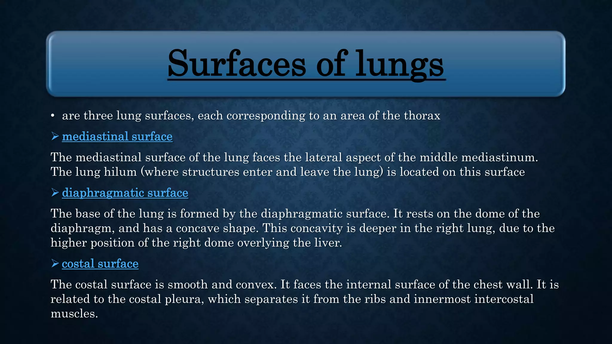 LUNGS ANATOMY | PPTX