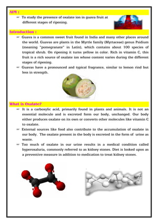 presentation guava fruit .pdf