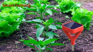 IoT Policy and Regulatory Framework | PDF