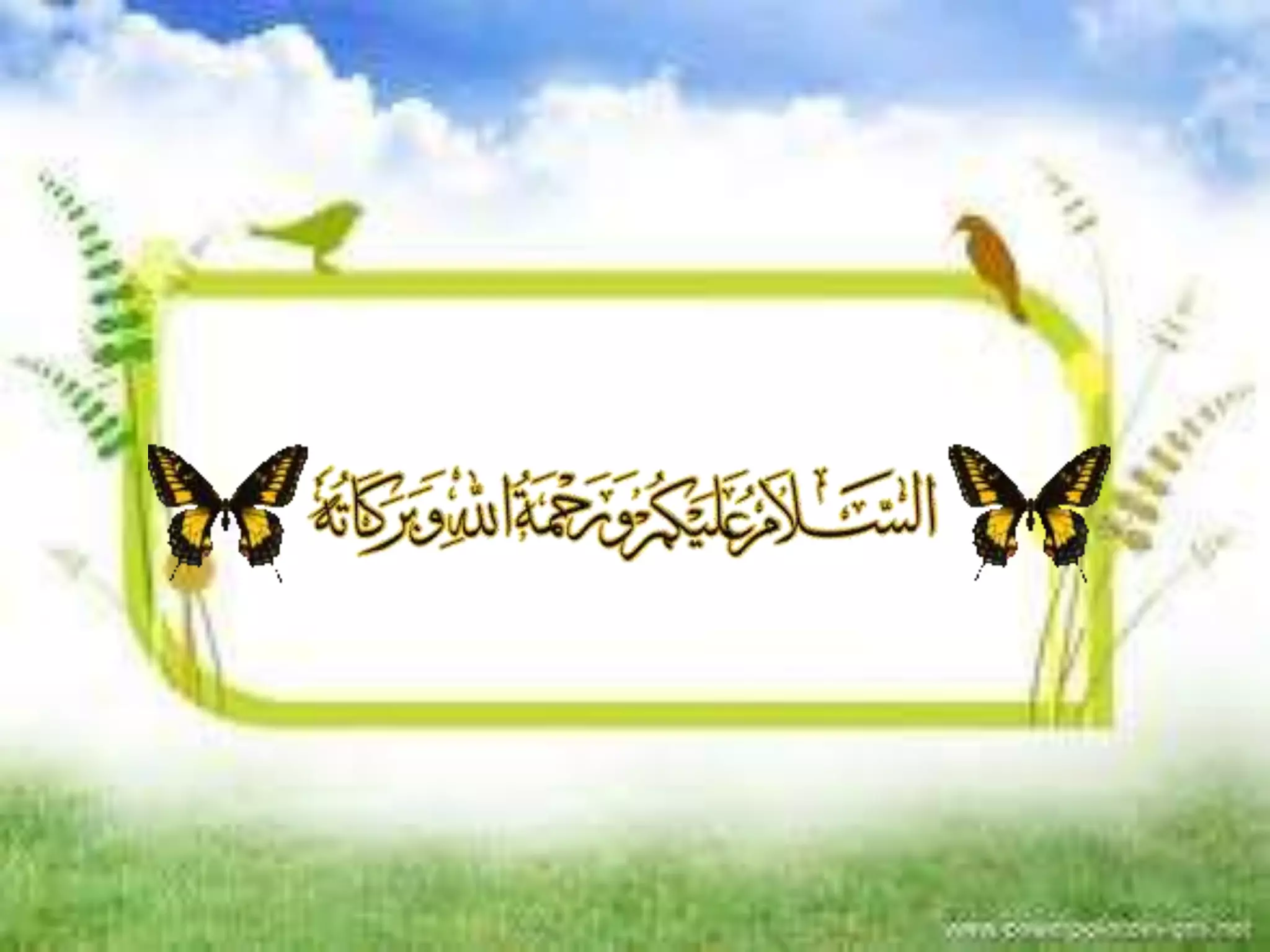 Presentation hama | PPTX