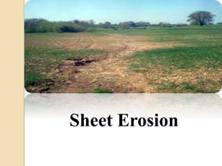 Sheet Erosion