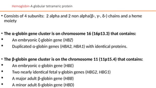 Hemoglobin in beta thalassemia ........ | PPTX