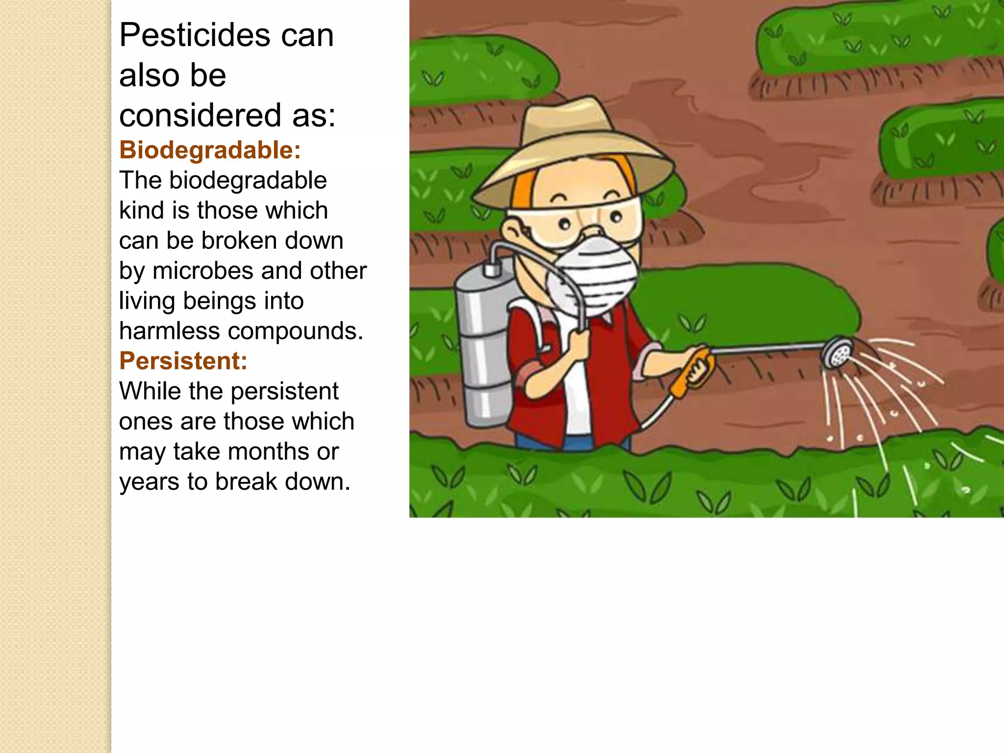 Health Hazard Effects of Pesticides | PPTX