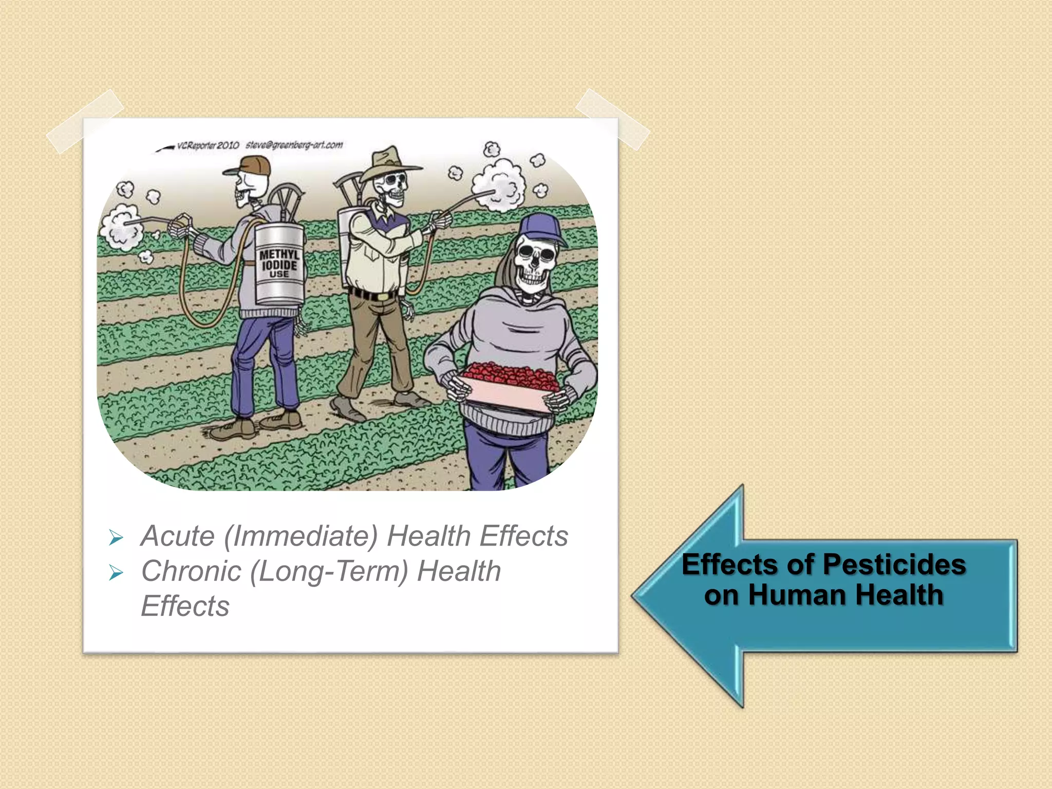 Health Hazard Effects of Pesticides | PPTX