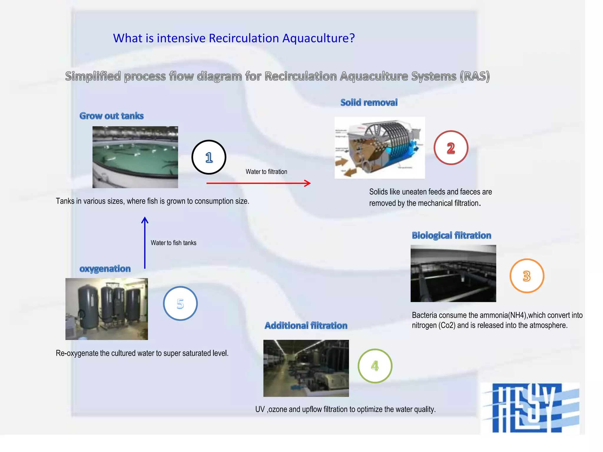 Presentation hesy 12-02-2014 Recirculation Aquaculture Systems | PPTX