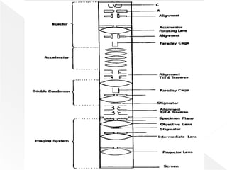 Presentation high voltage electron microscope | PPT