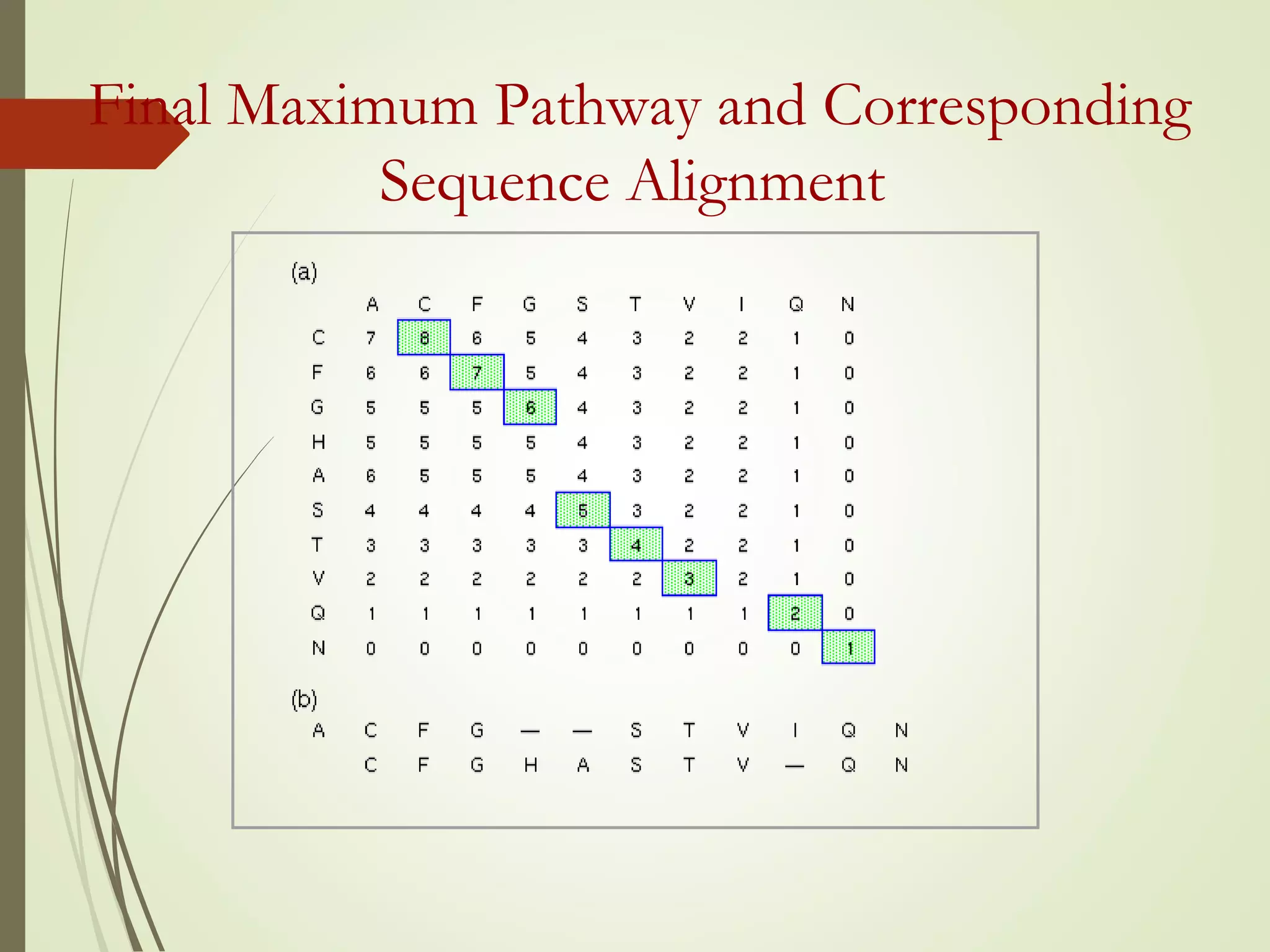 Presentation homolgy modeling | PPT