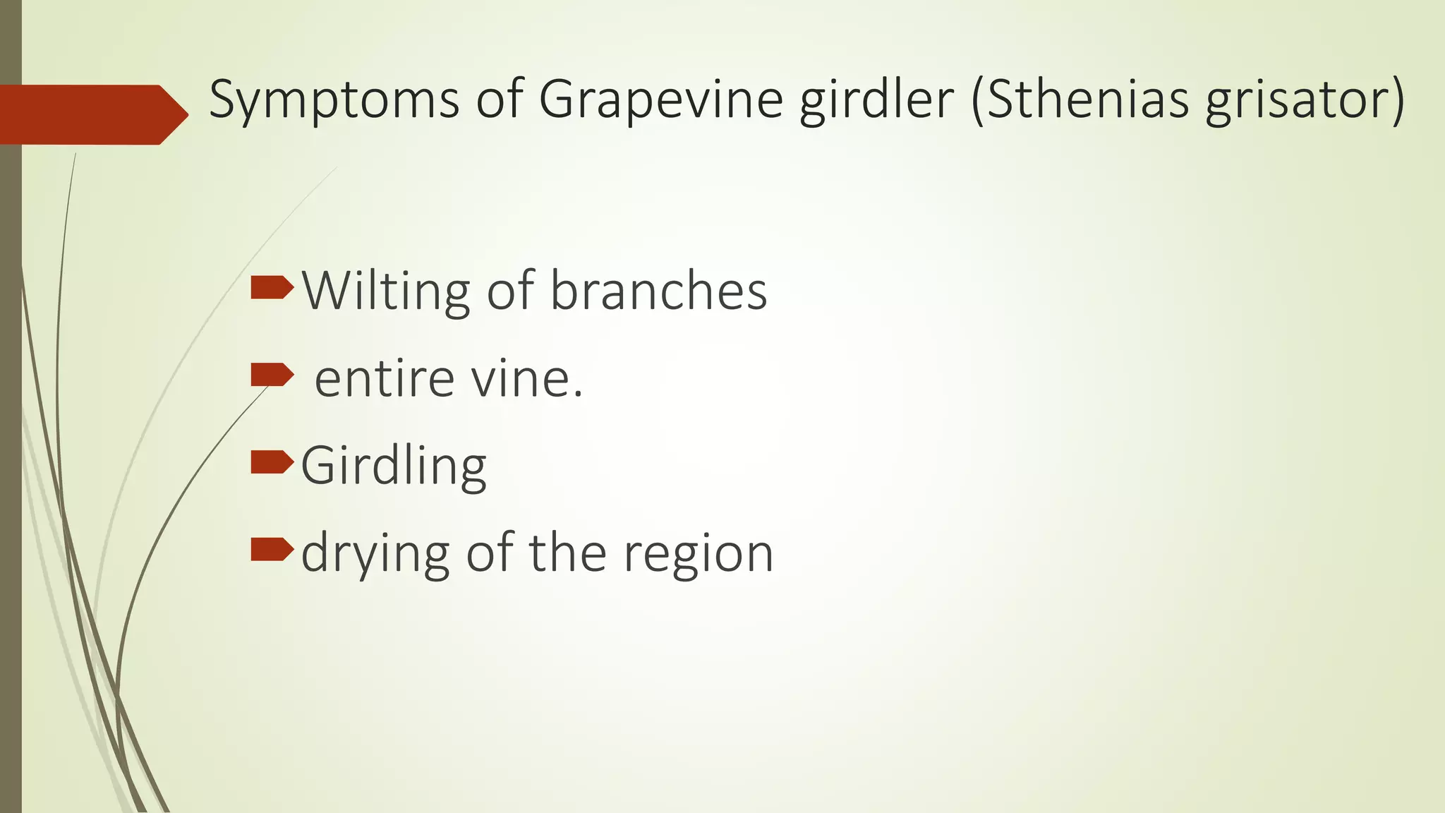 Presentation horti rahat.pptx