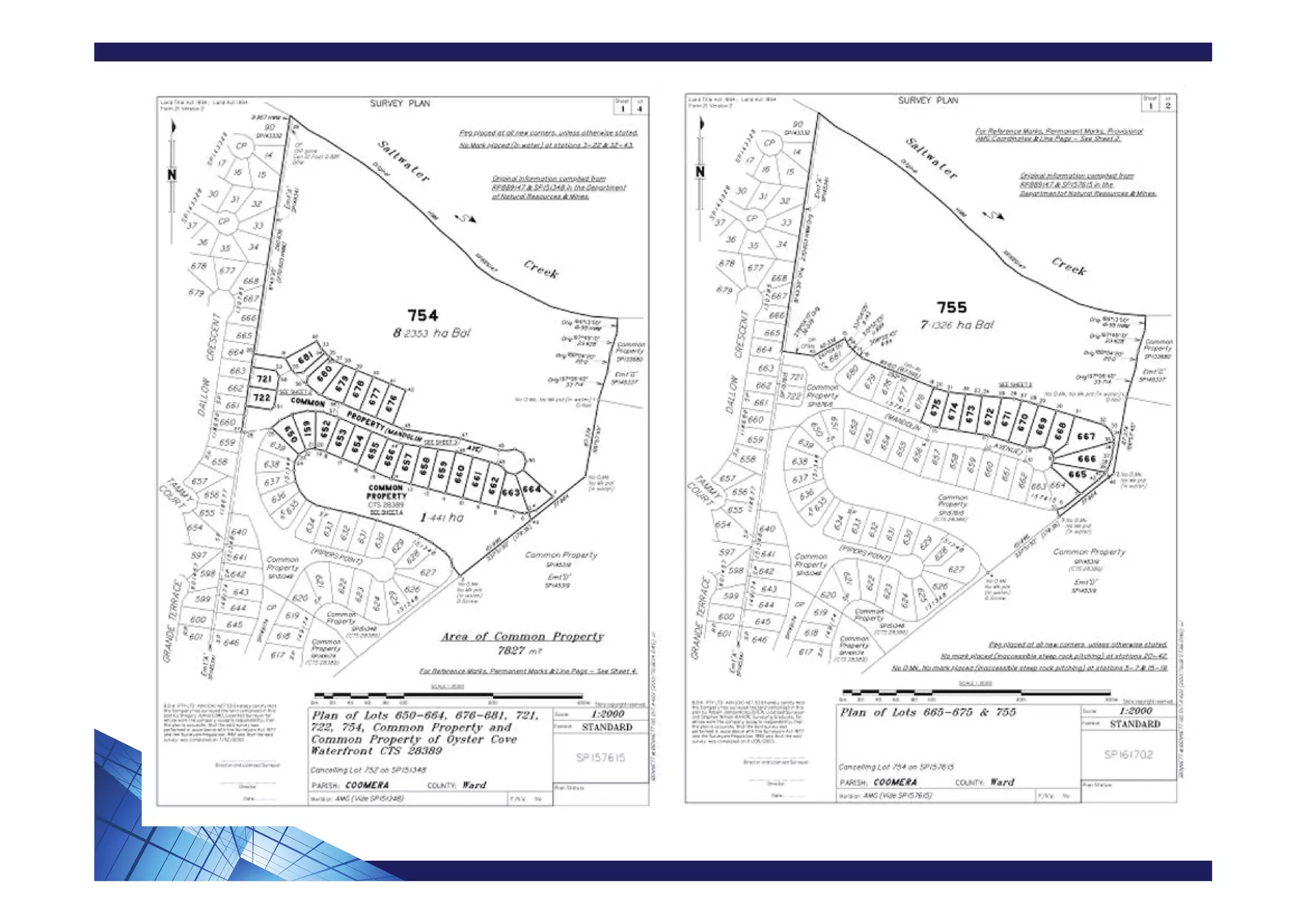 How to read plan formats and definitions of lots and common property | PDF