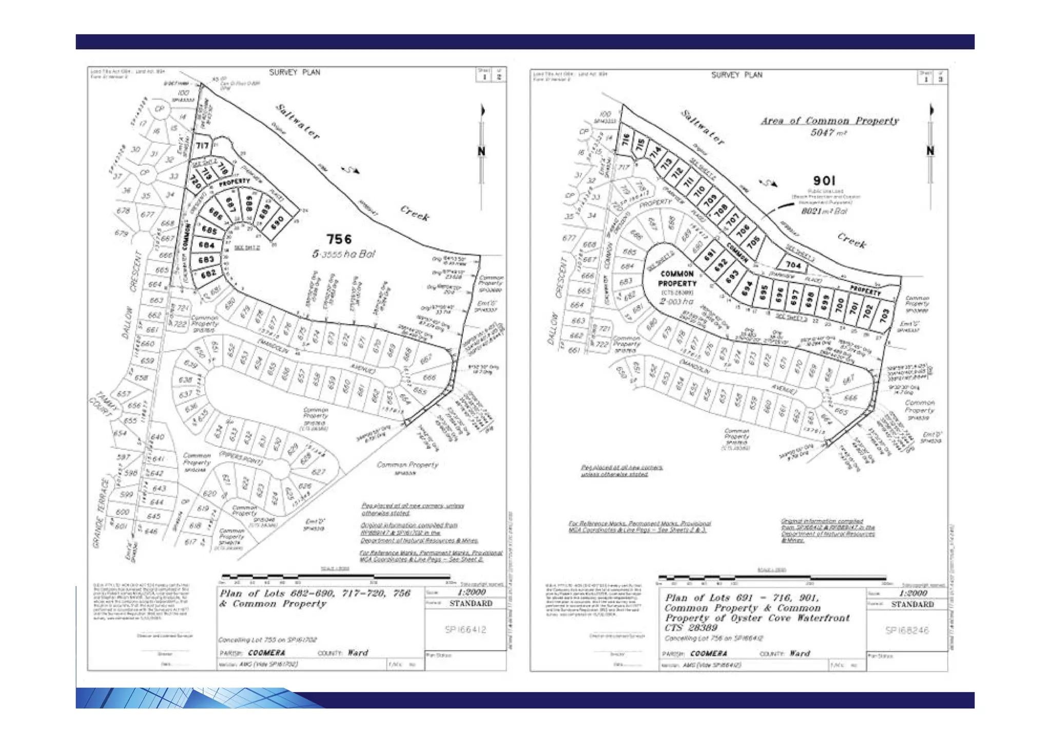 How to read plan formats and definitions of lots and common property | PDF