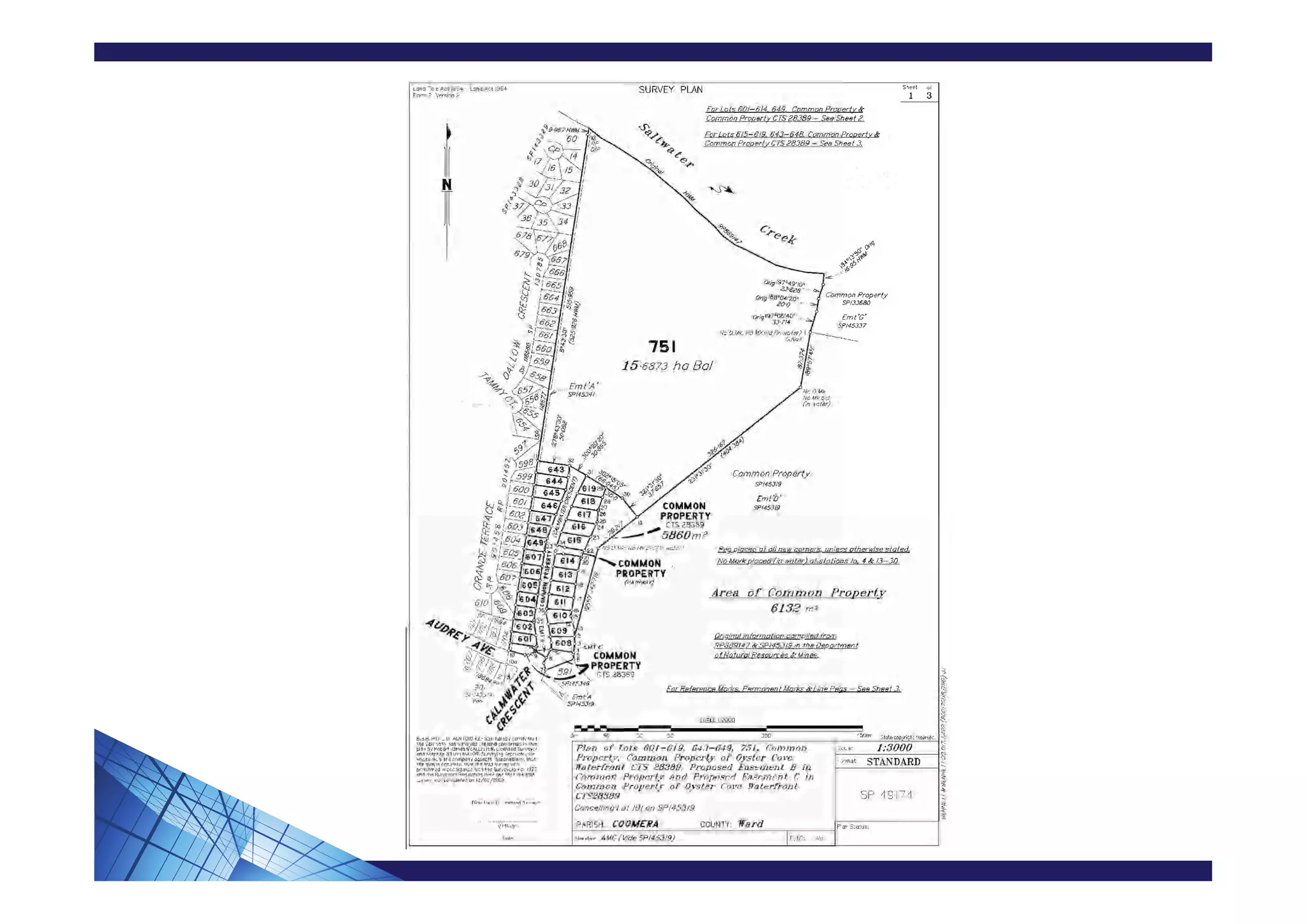 How to read plan formats and definitions of lots and common property | PDF