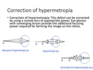 presentation_human_eye_.pptx