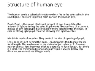presentation_human_eye_.pptx