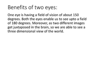 presentation_human_eye_.pptx
