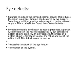 presentation_human_eye_.pptx