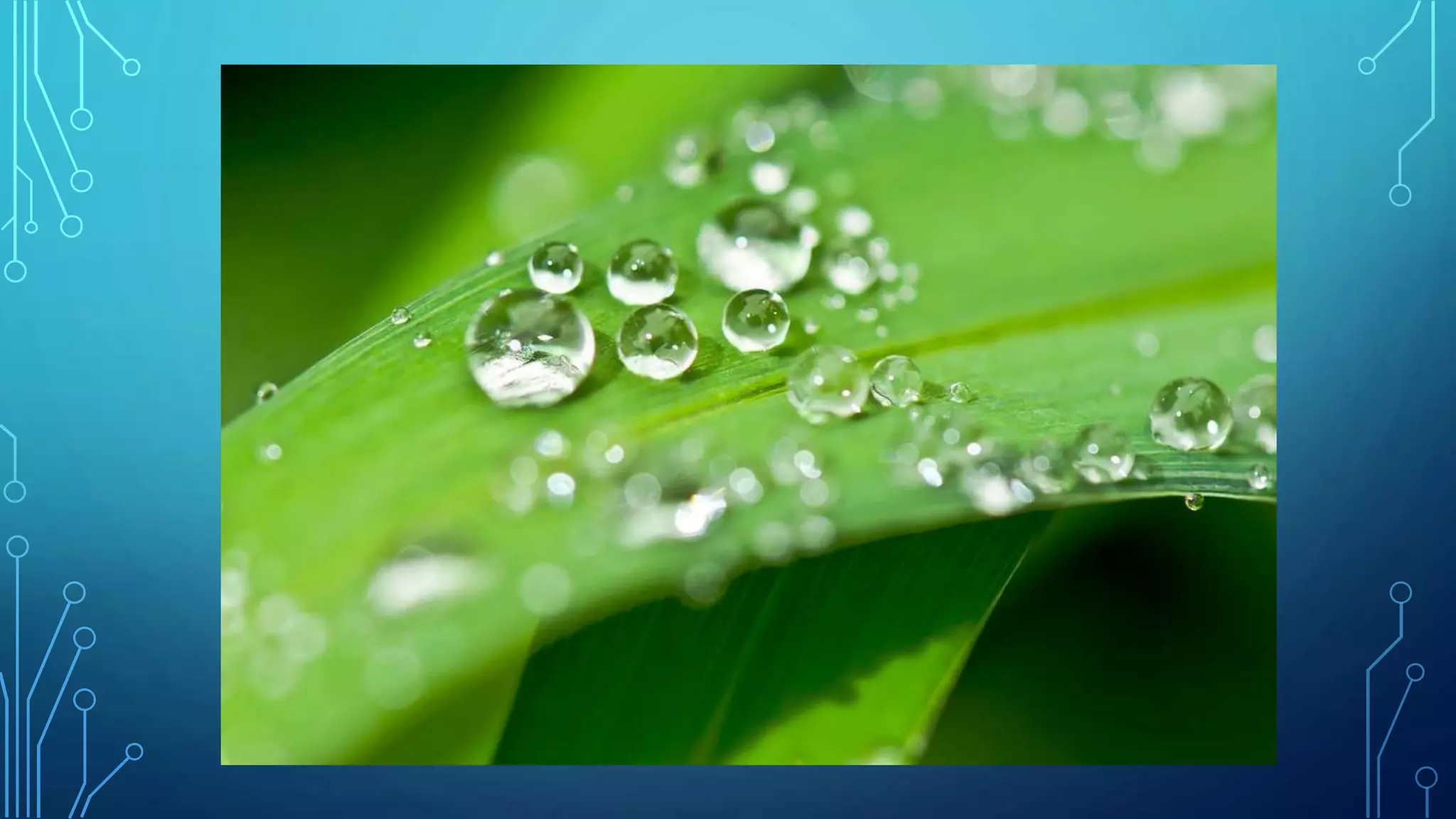 Presentation Meteorology | PPTX