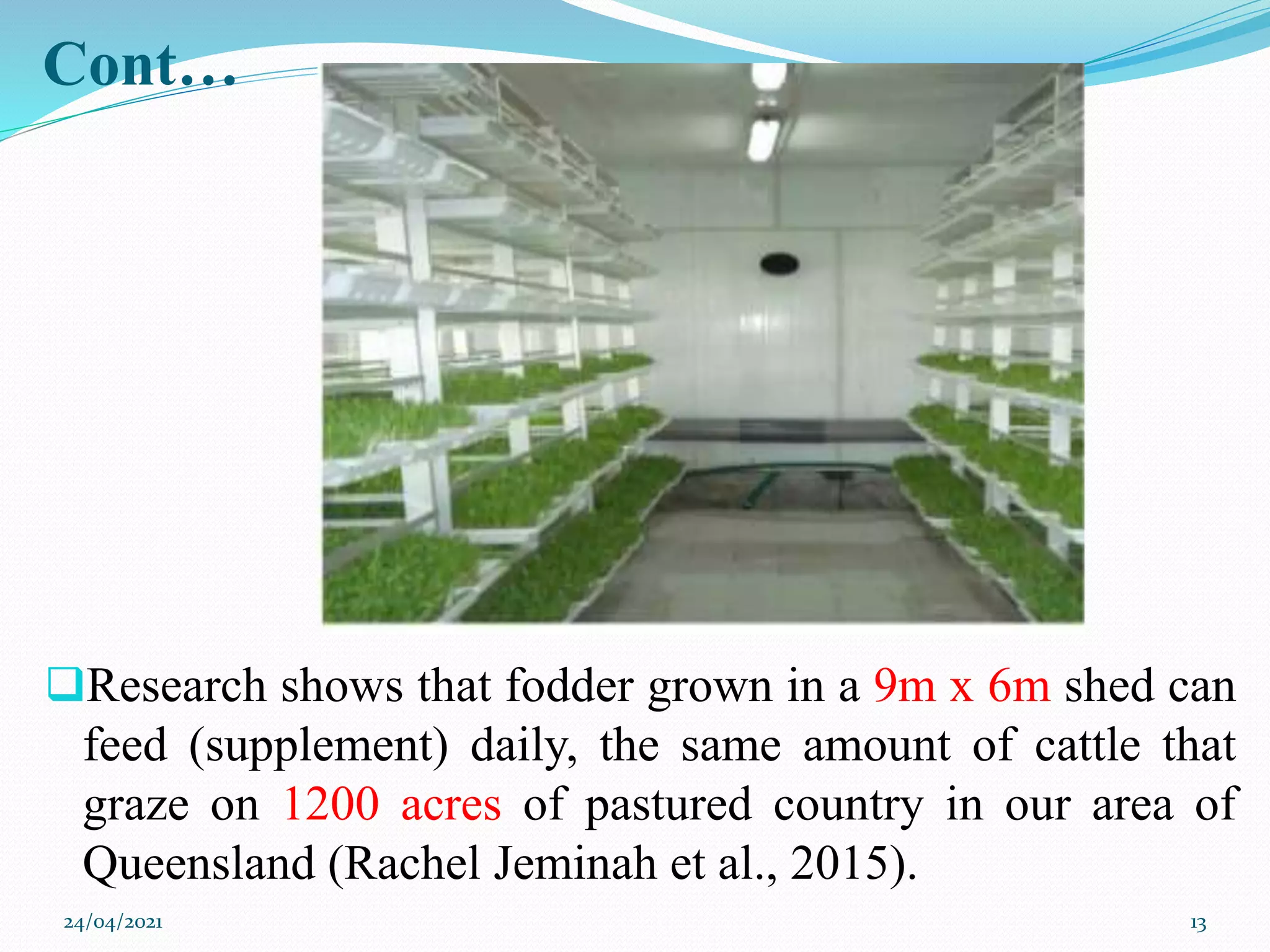 Presentation hydroponics | PPTX