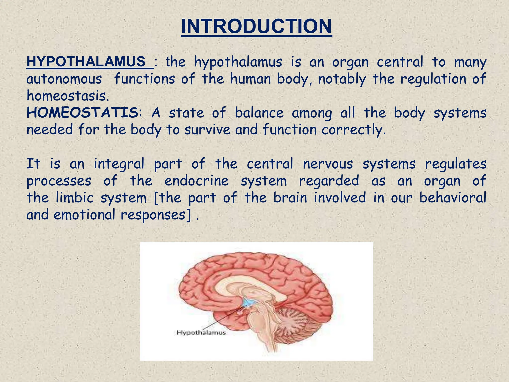 Hypothalamus slide share ppt introduction types educational ppt on ...
