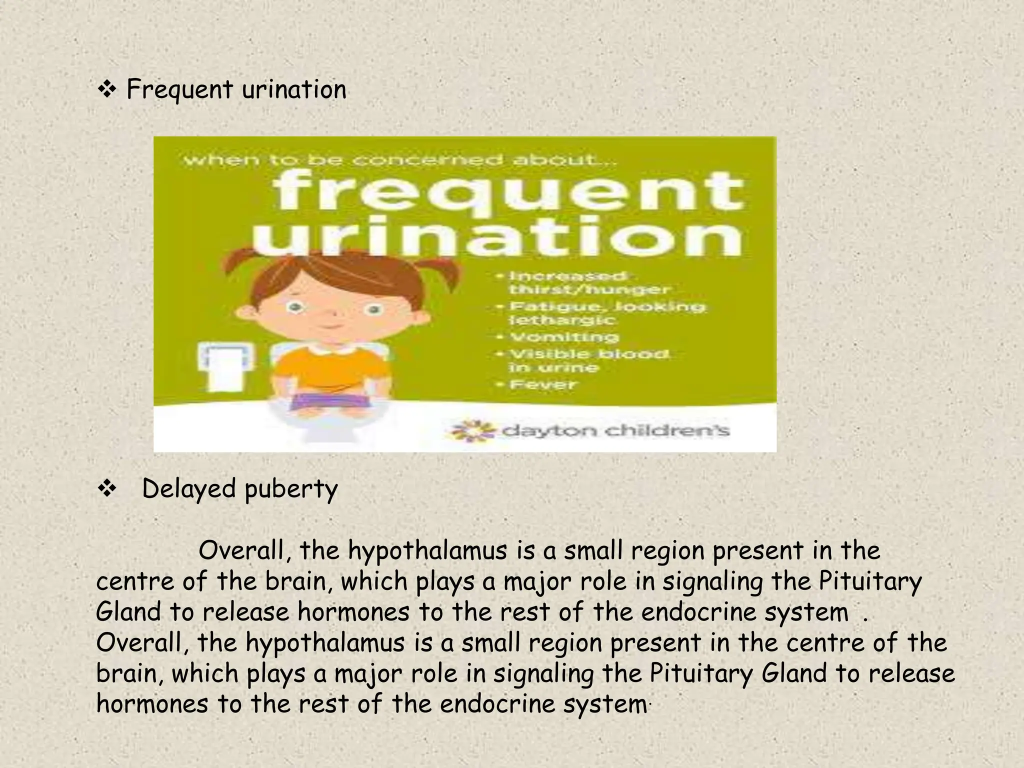 Hypothalamus slide share ppt introduction types educational ppt on ...