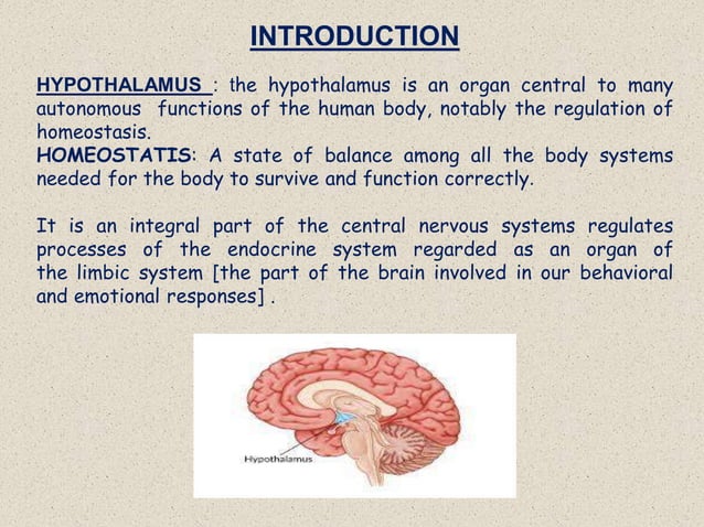 Hypothalamus slide share ppt introduction types educational ppt on ...
