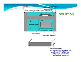 Fish passage presentation 1 Madison conference! | PPT
