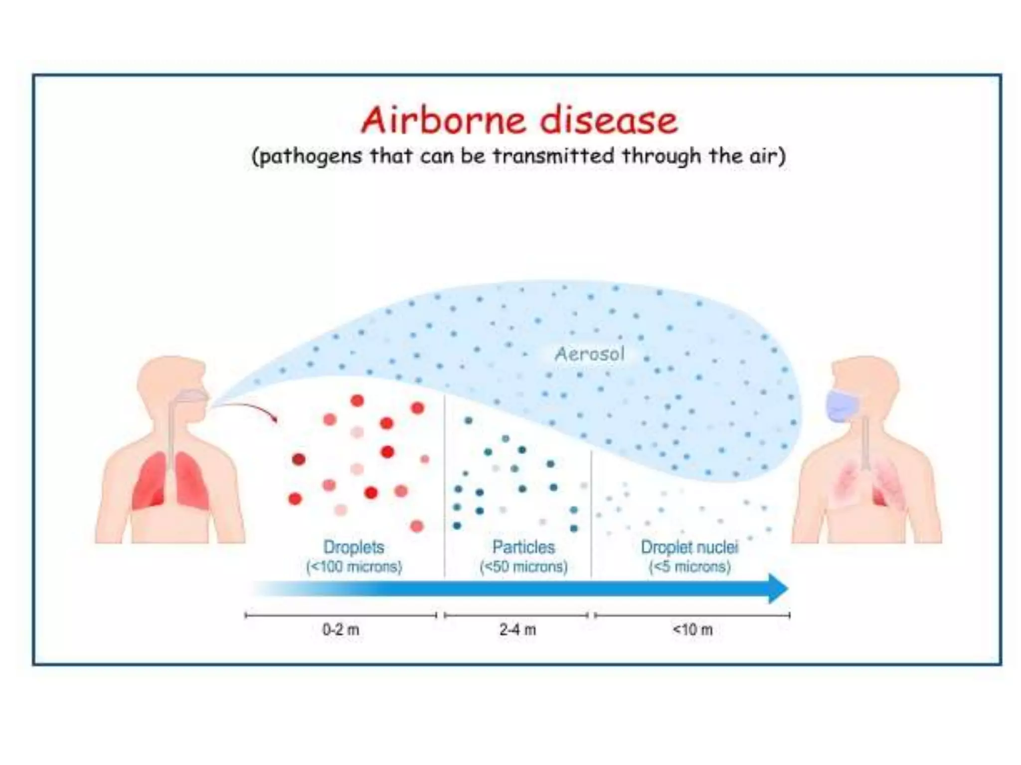 Presentation ib.pptx