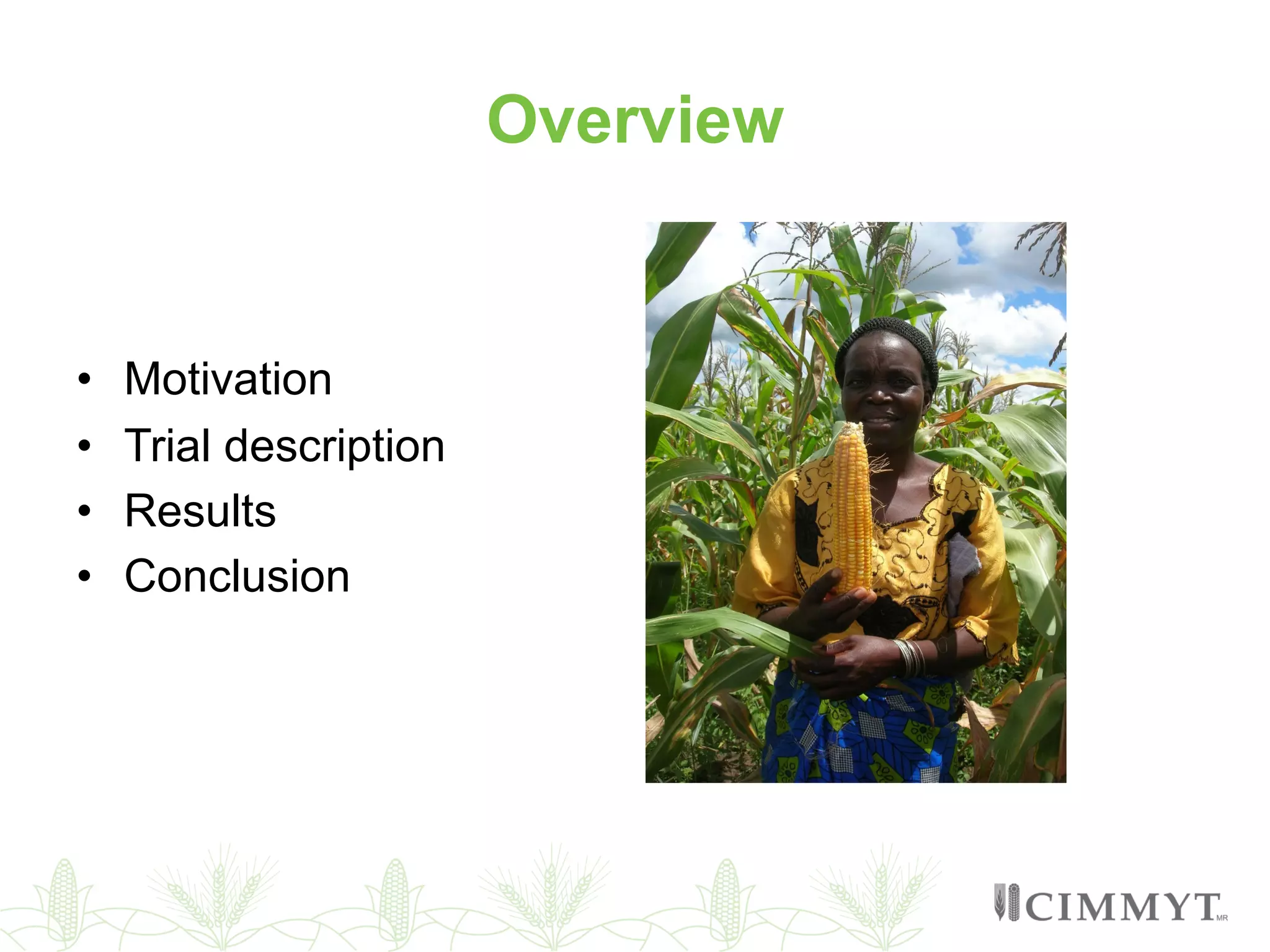 Participatory evaluation of five drought tolerant maize varieties in ...