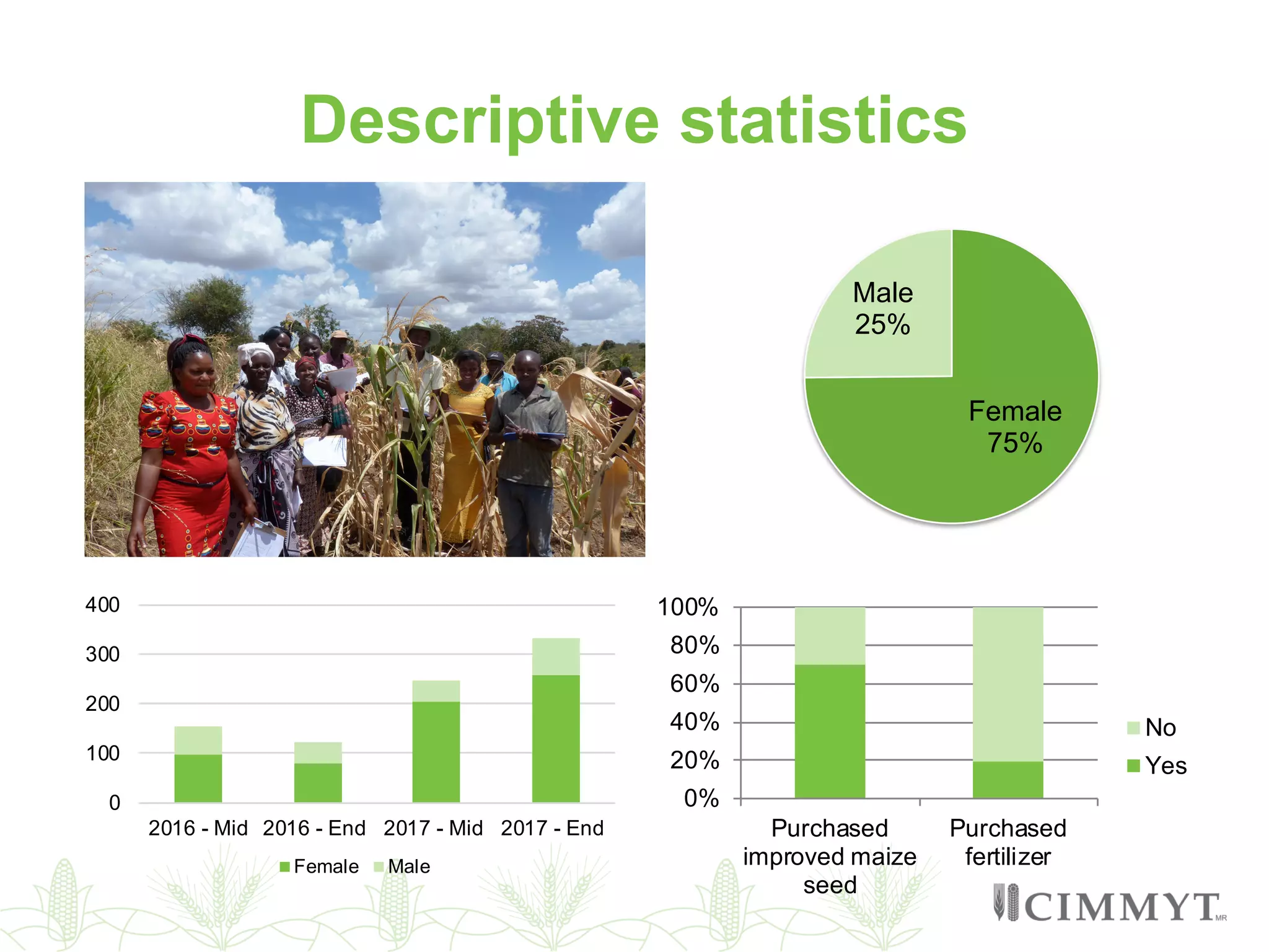 Participatory evaluation of five drought tolerant maize varieties in ...
