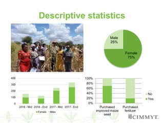 Participatory evaluation of five drought tolerant maize varieties in ...