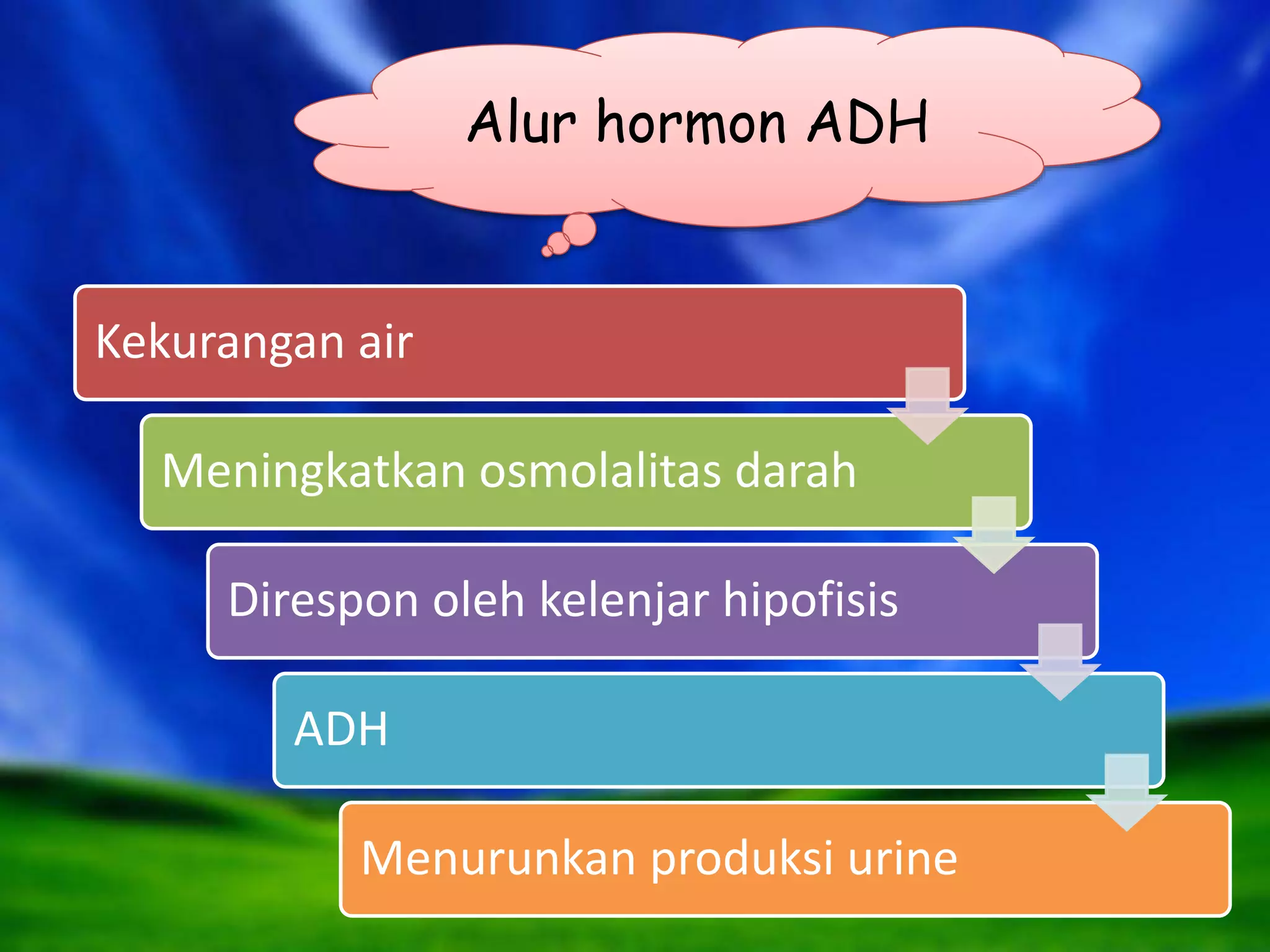 Presentation idk 1 (hormon) | PPTX