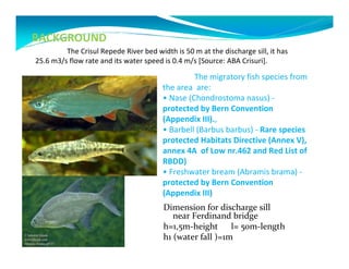 Madison fish passage conference presentation 2! Razvan Voicu, Eric Kay ...