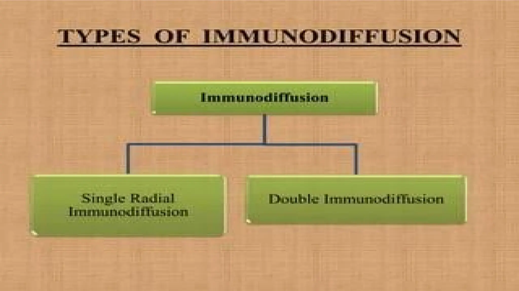 Presentation immuno diffusion and immuno electrophoresis (2).pptx