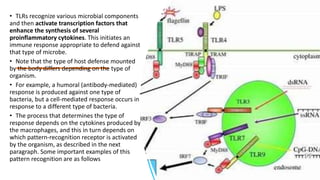 SIGNALING Through Toll LIKE RECEPTORS.pptx
