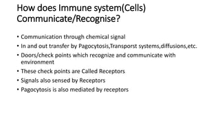 SIGNALING Through Toll LIKE RECEPTORS.pptx