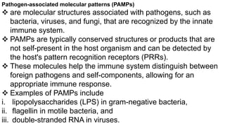 SIGNALING Through Toll LIKE RECEPTORS.pptx